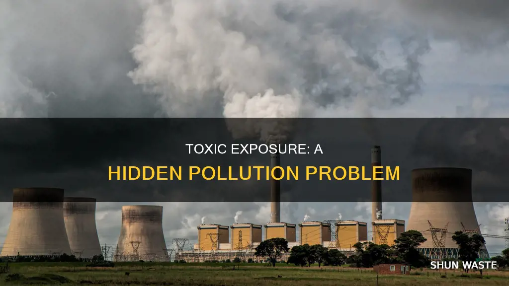 Toxic Exposure: A Hidden Pollution Problem | ShunWaste