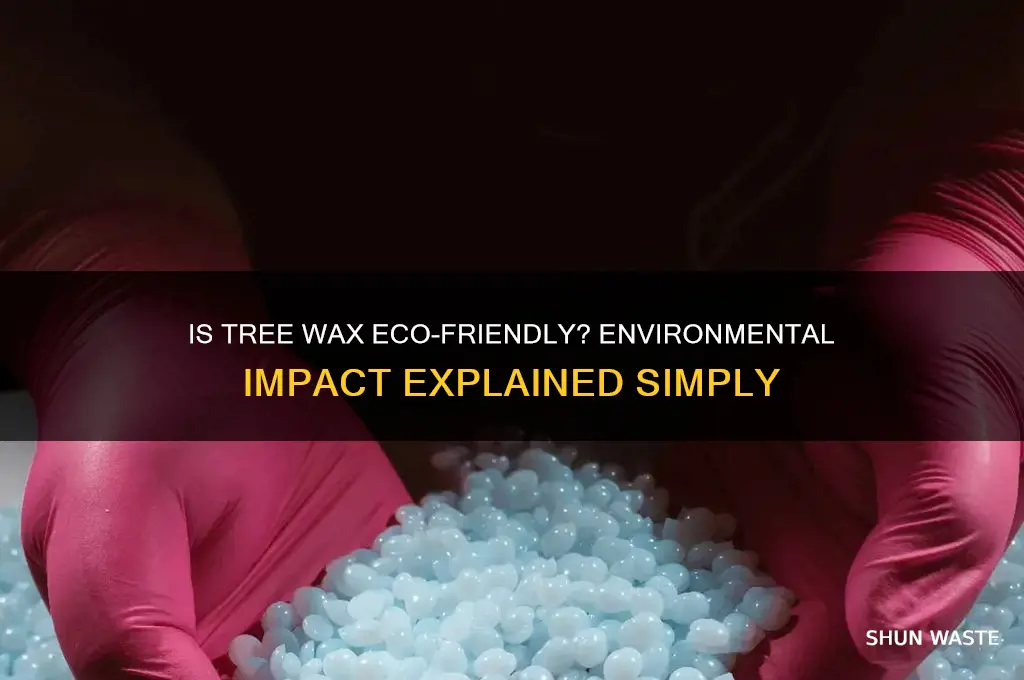 Is Tree Wax Eco-Friendly? Environmental Impact Explained Simply | ShunWaste