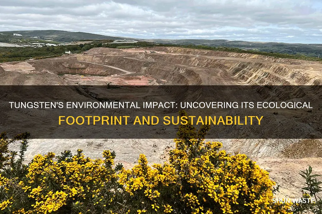 Tungsten's Environmental Impact: Uncovering Its Ecological Footprint ...