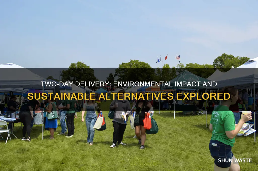 Two-Day Delivery: Environmental Impact And Sustainable Alternatives ...