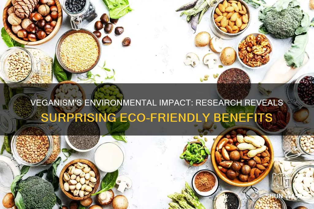 Veganism's Environmental Impact: Research Reveals Surprising Eco ...