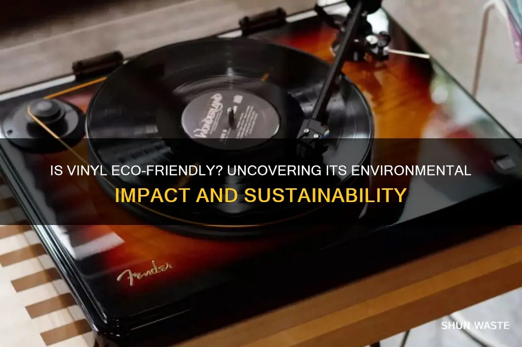Is Vinyl Eco-Friendly? Uncovering Its Environmental Impact And ...