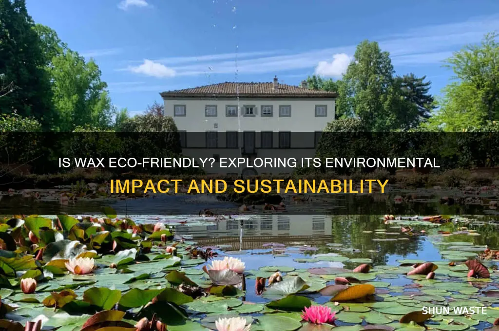 Is Wax Eco-Friendly? Exploring Its Environmental Impact And ...