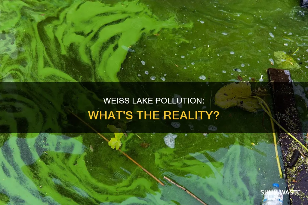 Weiss Lake Pollution: What's The Reality? | ShunWaste