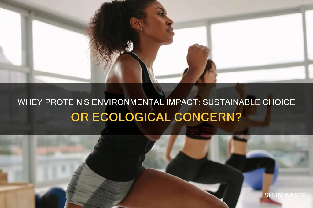 Whey Protein's Environmental Impact: Sustainable Choice Or Ecological ...