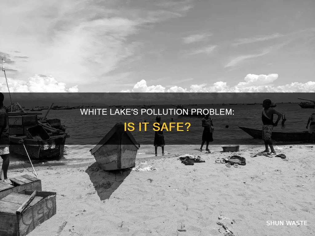 White Lake's Pollution Problem: Is It Safe? | ShunWaste