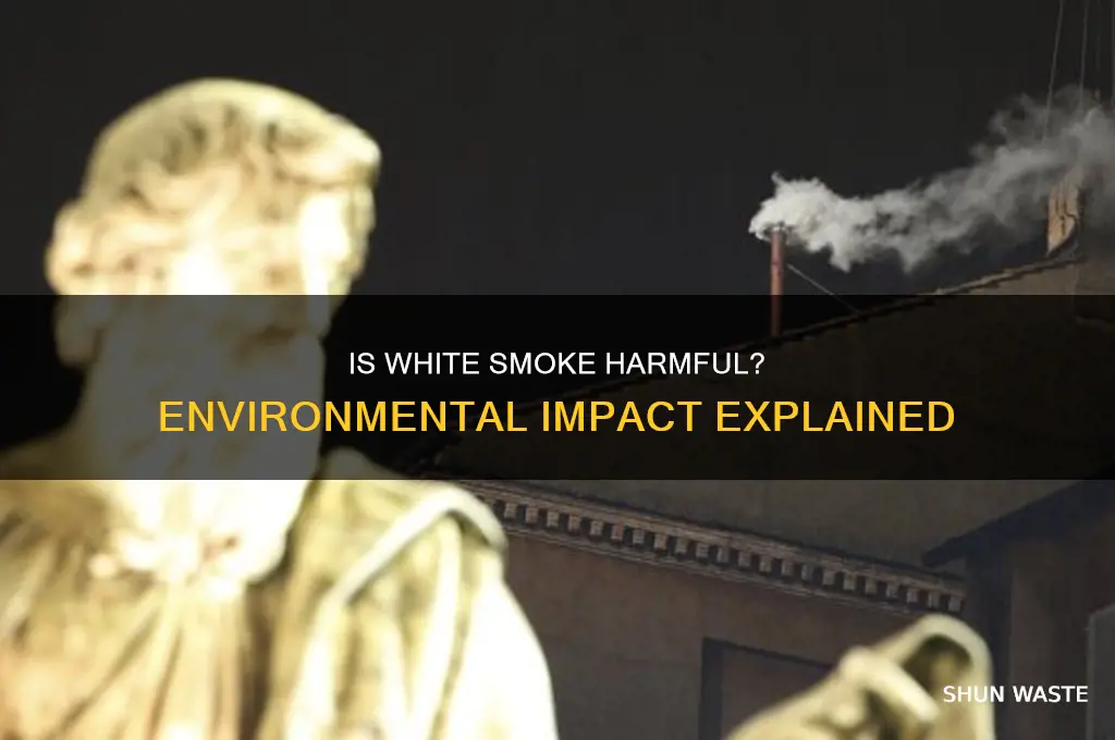Is White Smoke Harmful? Environmental Impact Explained | ShunWaste