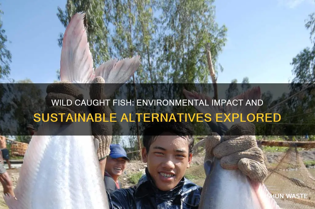 Wild Caught Fish: Environmental Impact And Sustainable Alternatives ...