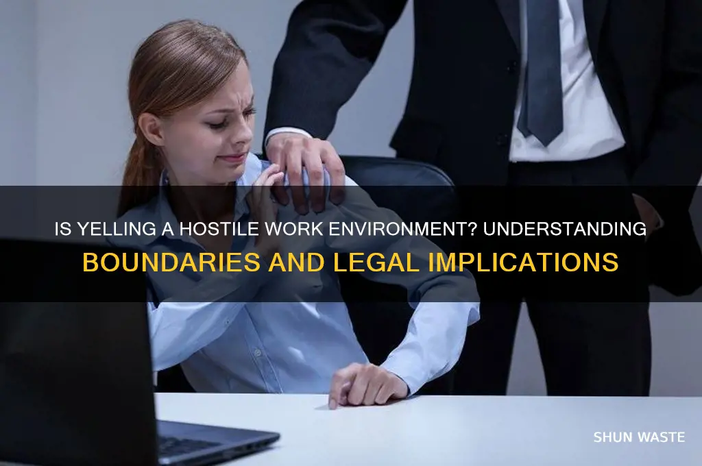 Is Yelling A Hostile Work Environment? Understanding Boundaries And ...