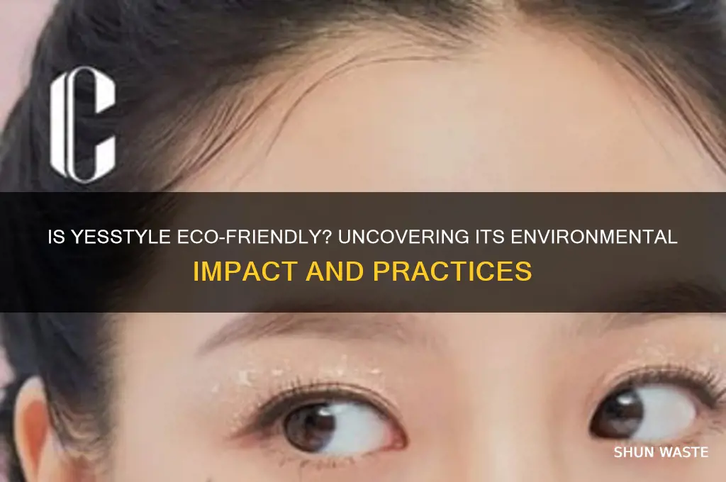 Is Yesstyle Eco-Friendly? Uncovering Its Environmental Impact And ...