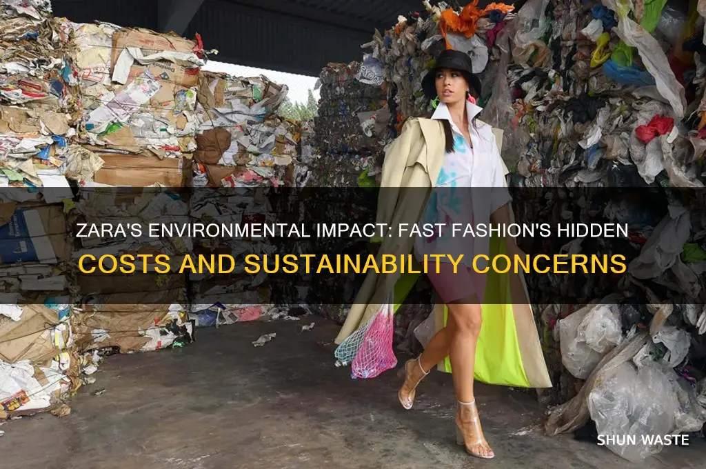 Zara's Environmental Impact: Fast Fashion's Hidden Costs And ...