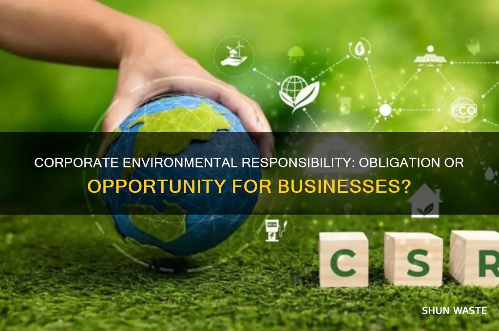 Corporate Environmental Responsibility: Obligation Or Opportunity For ...