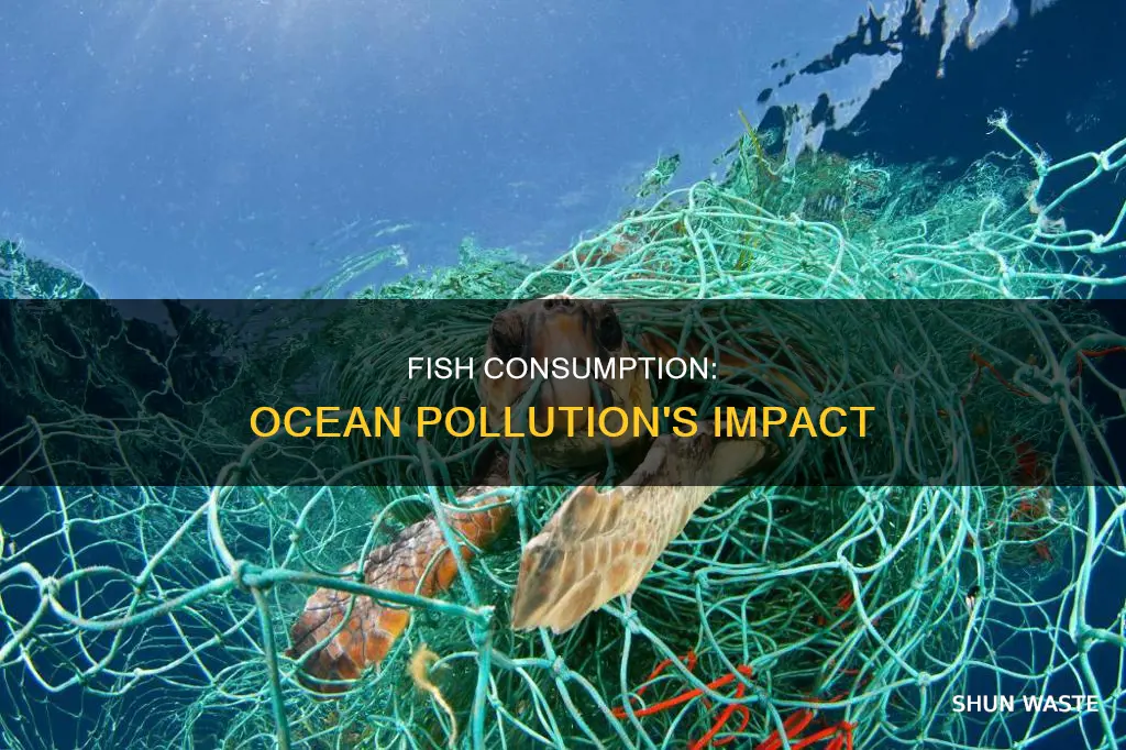 Fish Consumption: Ocean Pollution's Impact | ShunWaste