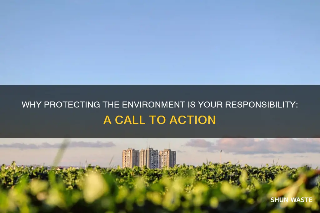 Why Protecting The Environment Is Your Responsibility: A Call To Action ...