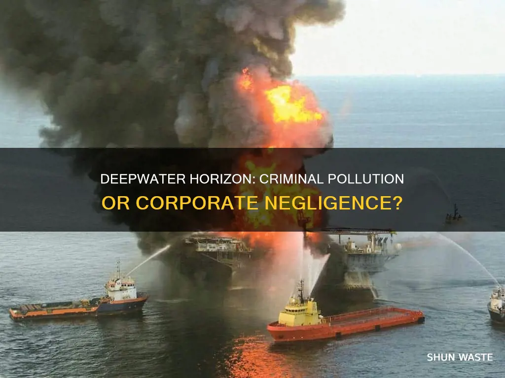 Deepwater Horizon: Criminal Pollution Or Corporate Negligence? | ShunWaste