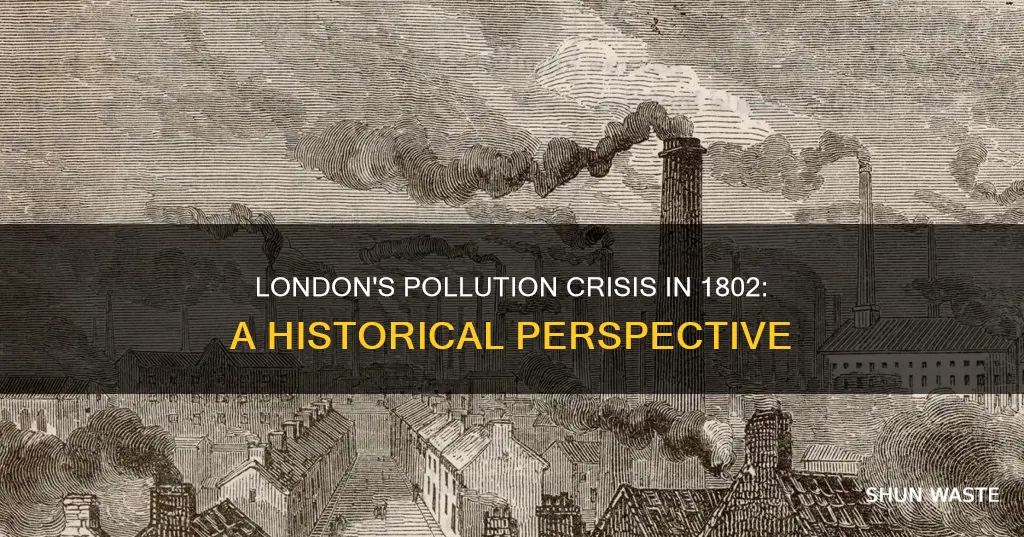 London's Pollution Crisis In 1802: A Historical Perspective | ShunWaste