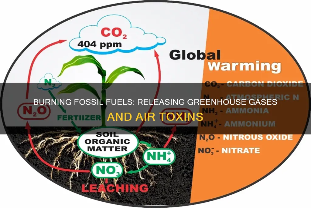 Burning Fossil Fuels: Releasing Greenhouse Gases And Air Toxins | ShunWaste