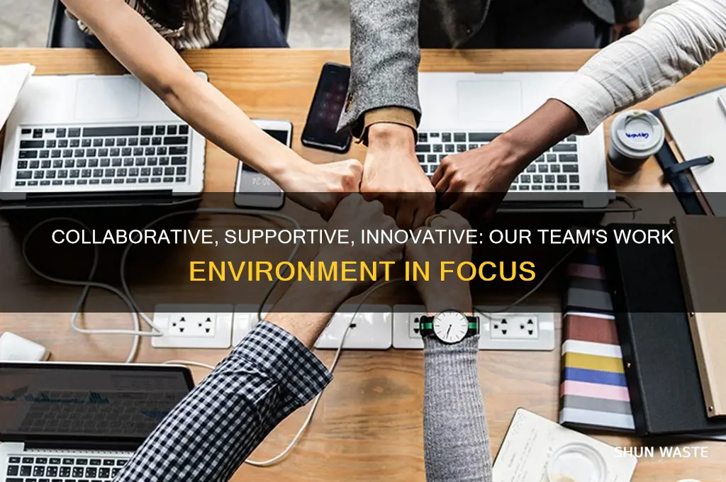 Collaborative, Supportive, Innovative: Our Team's Work Environment In ...