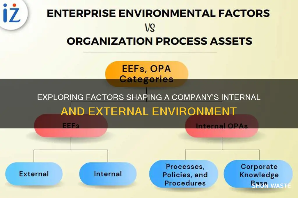 Exploring Factors Shaping A Company's Internal And External Environment ...