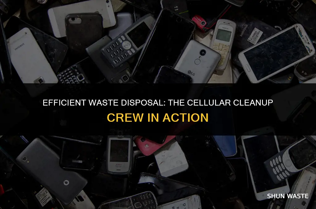 Efficient Waste Disposal: The Cellular Cleanup Crew In Action | ShunWaste