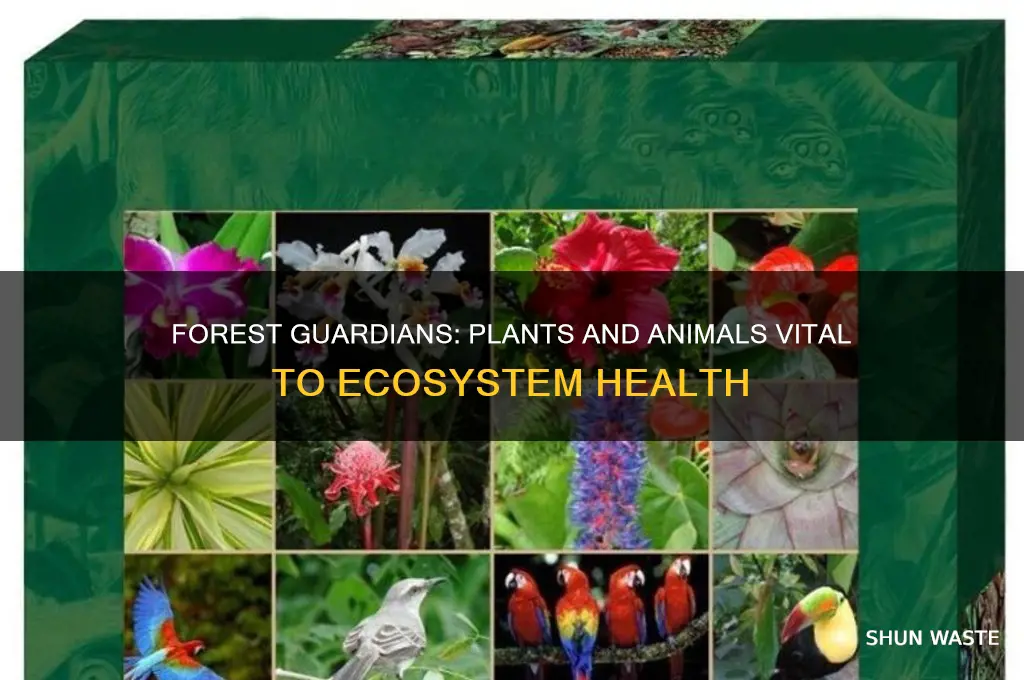 Forest Guardians: Plants And Animals Vital To Ecosystem Health | ShunWaste