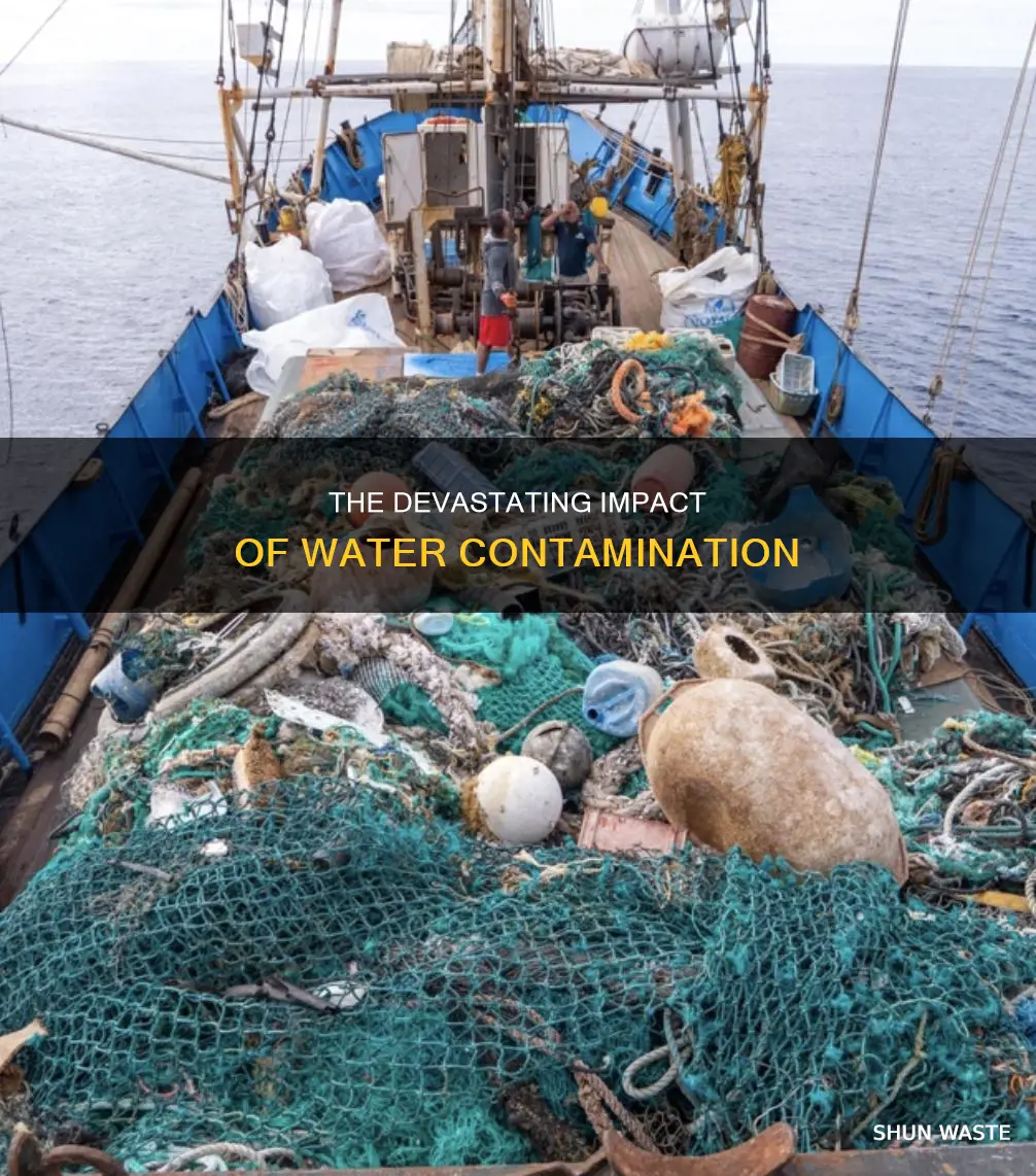 The Devastating Impact Of Water Contamination | ShunWaste