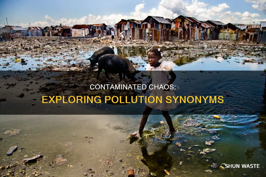 Contaminated Chaos: Exploring Pollution Synonyms | ShunWaste