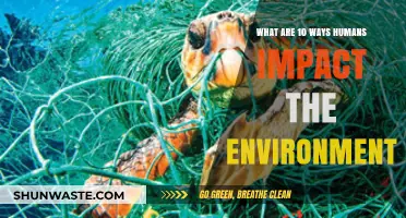 Hydropower's Environmental Impact: Benefits, Challenges, And ...