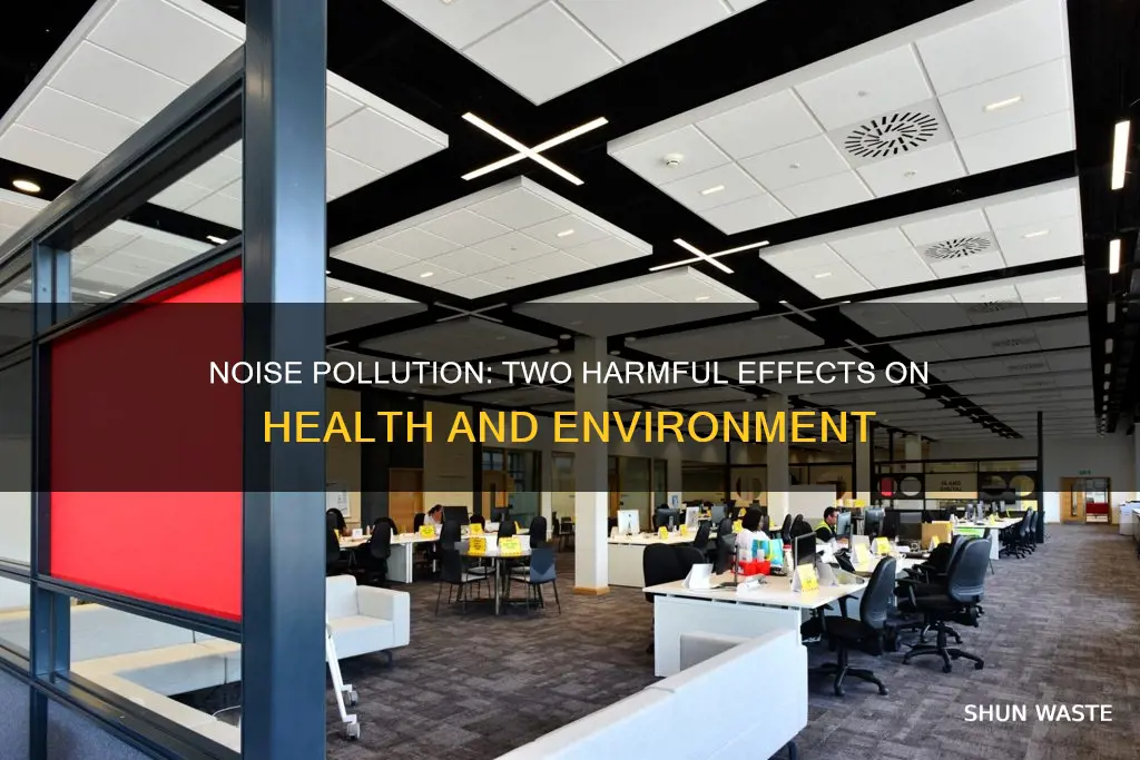 Noise Pollution: Two Harmful Effects On Health And Environment | ShunWaste