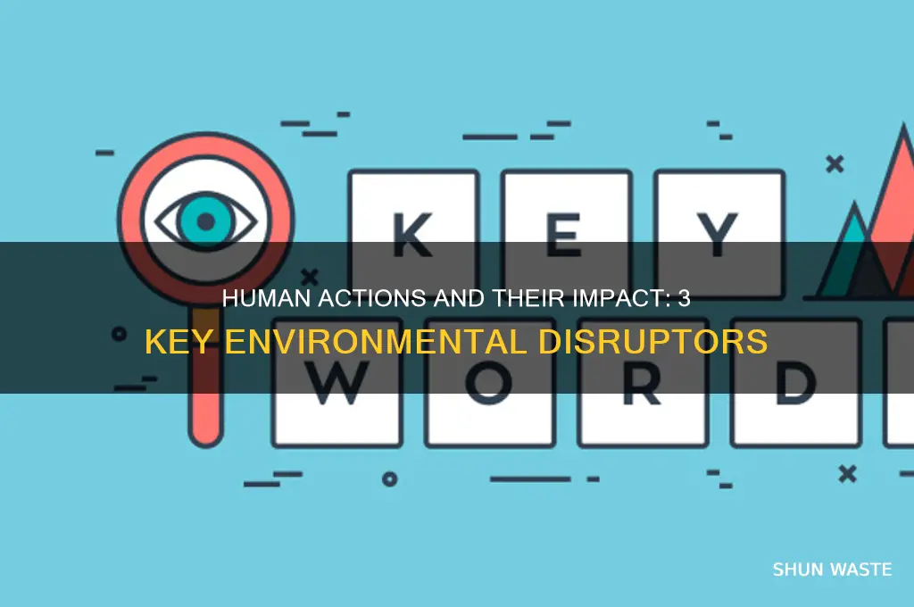 Human Actions And Their Impact: 3 Key Environmental Disruptors | ShunWaste