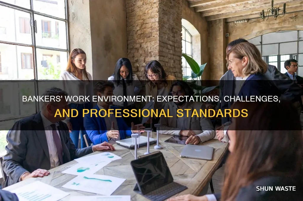 Bankers' Work Environment: Expectations, Challenges, And Professional ...