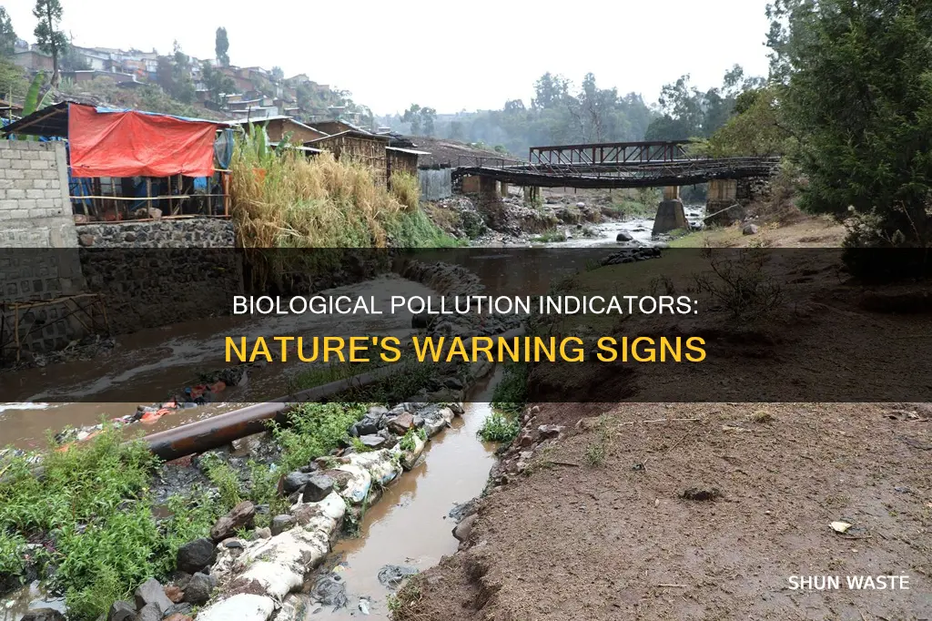 Biological Pollution Indicators: Nature's Warning Signs | ShunWaste
