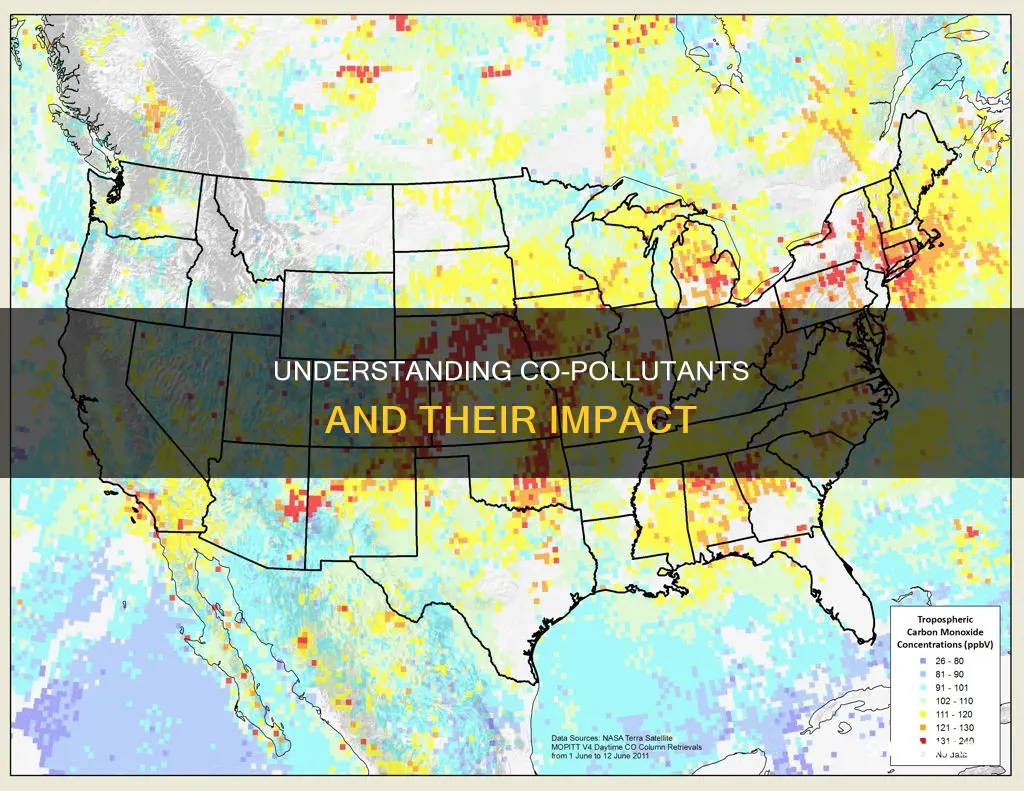 Understanding Co-Pollutants And Their Impact | ShunWaste