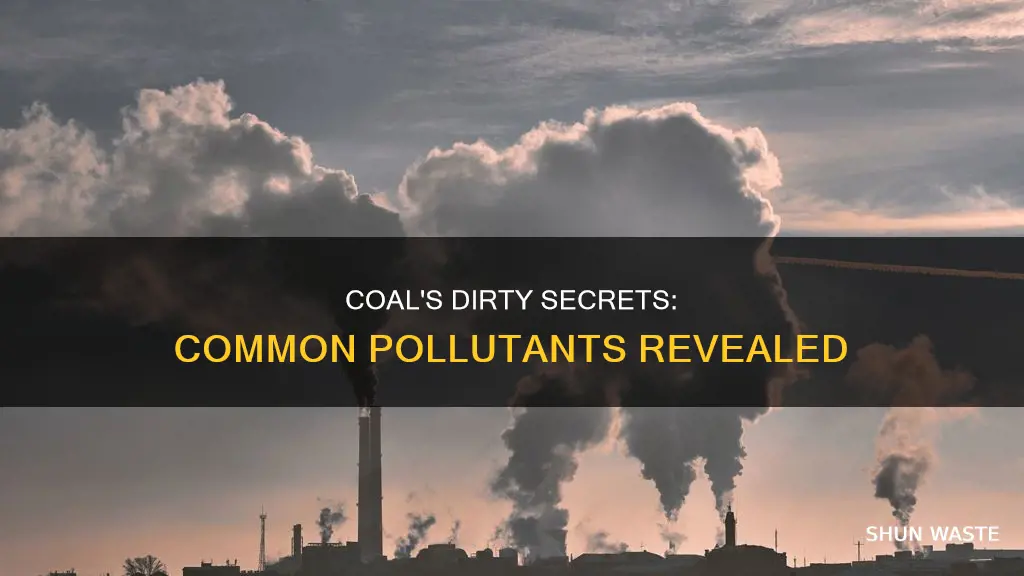Coal's Dirty Secrets: Common Pollutants Revealed | ShunWaste