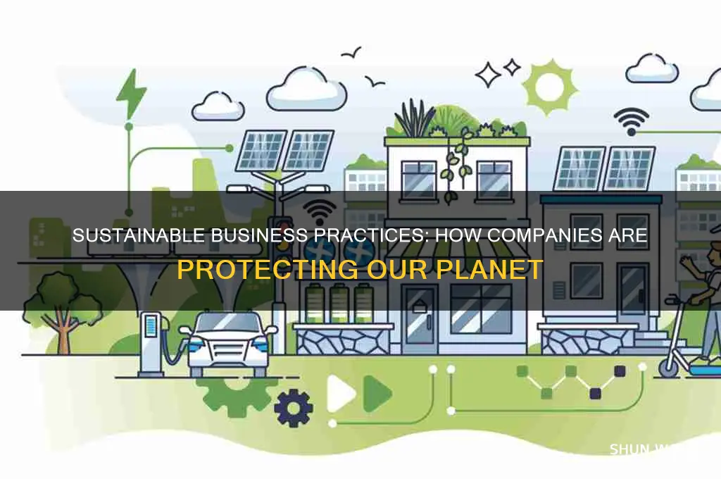 Sustainable Business Practices: How Companies Are Protecting Our Planet ...