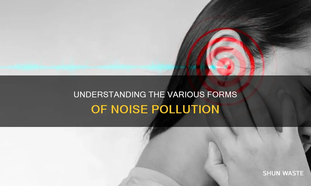 Understanding The Various Forms Of Noise Pollution | ShunWaste
