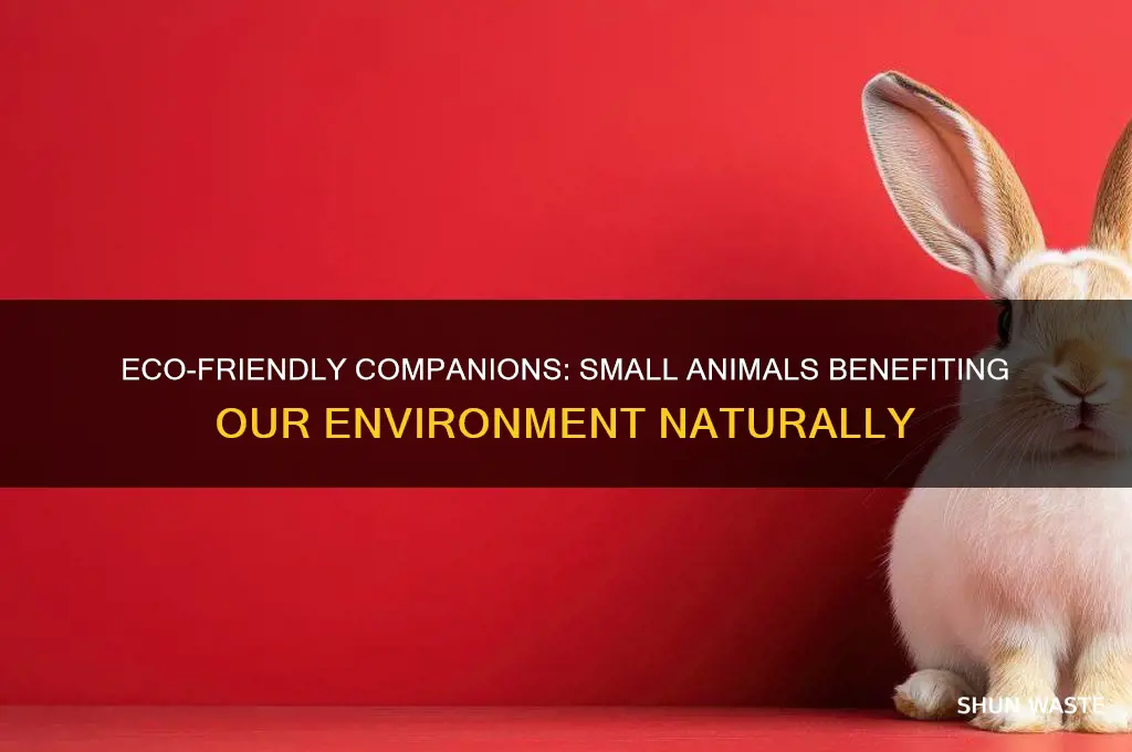 Eco-Friendly Companions: Small Animals Benefiting Our Environment ...