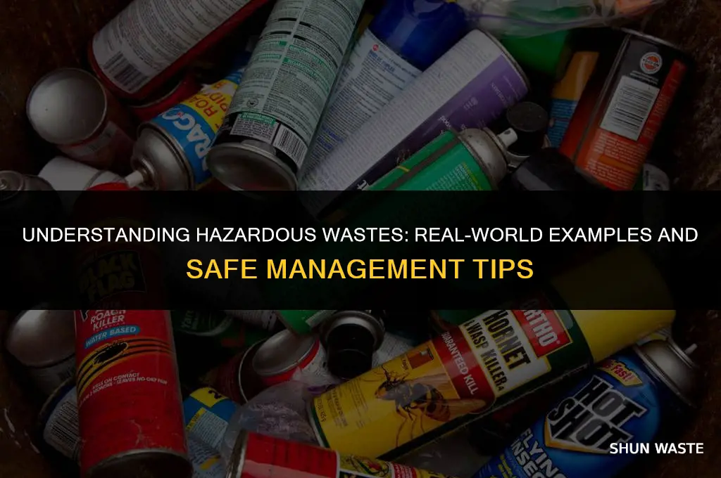 Understanding Hazardous Wastes: Real-World Examples And Safe Management ...