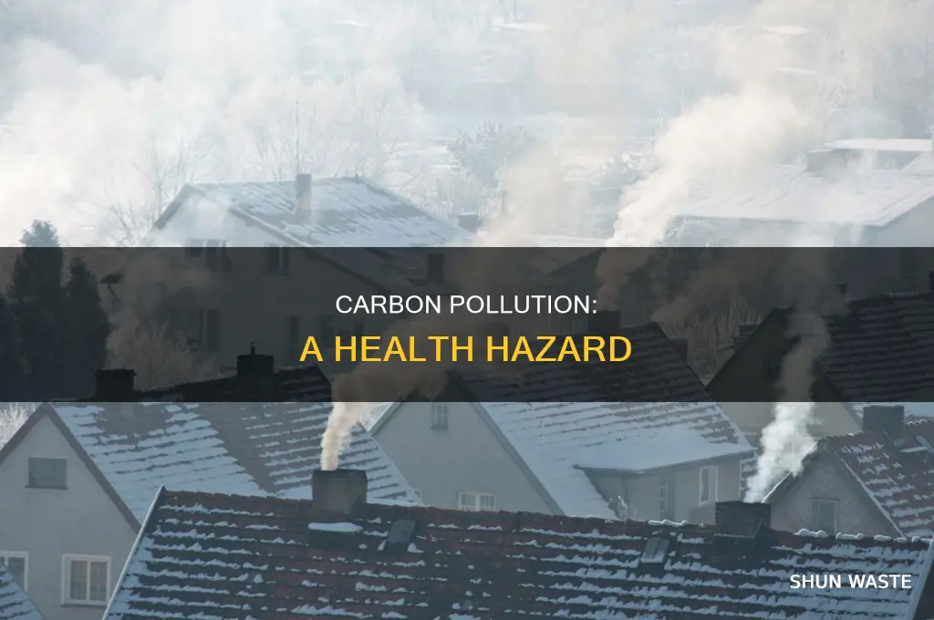 Carbon Pollution: A Health Hazard | ShunWaste