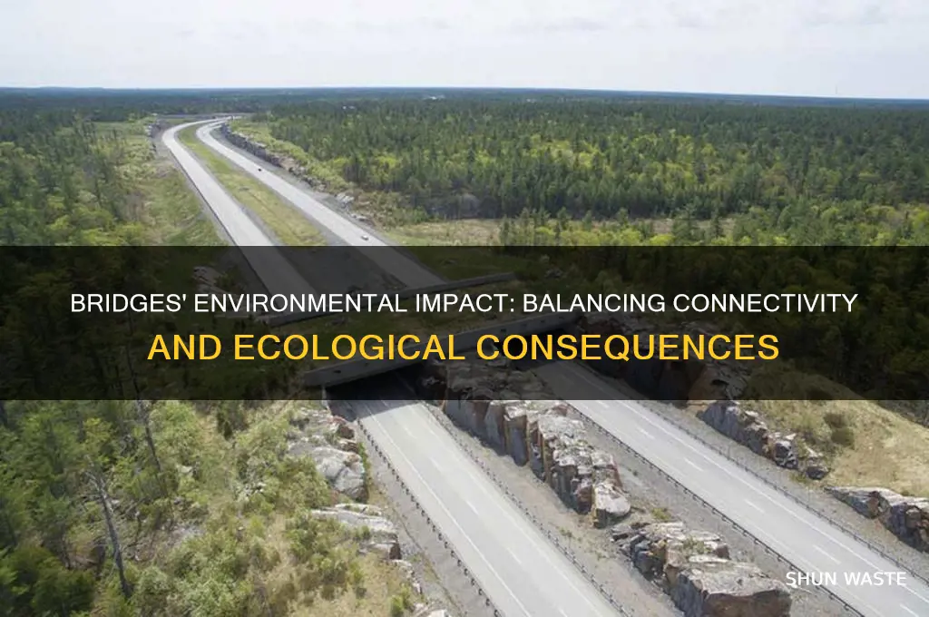 Bridges' Environmental Impact: Balancing Connectivity And Ecological ...
