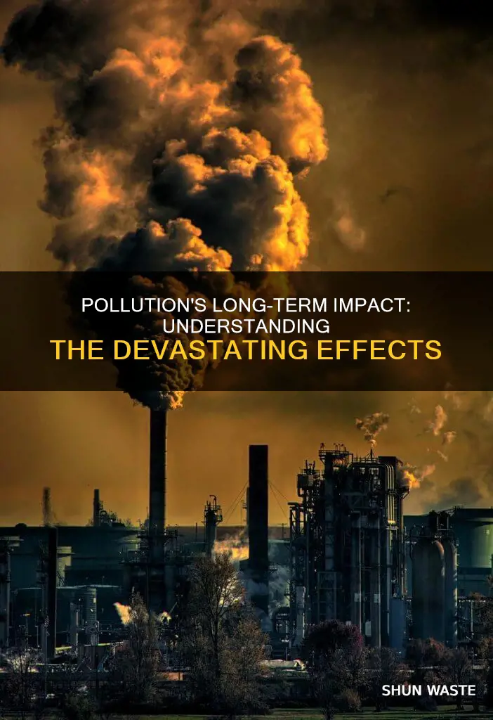 Pollution's Long-Term Impact: Understanding The Devastating Effects ...