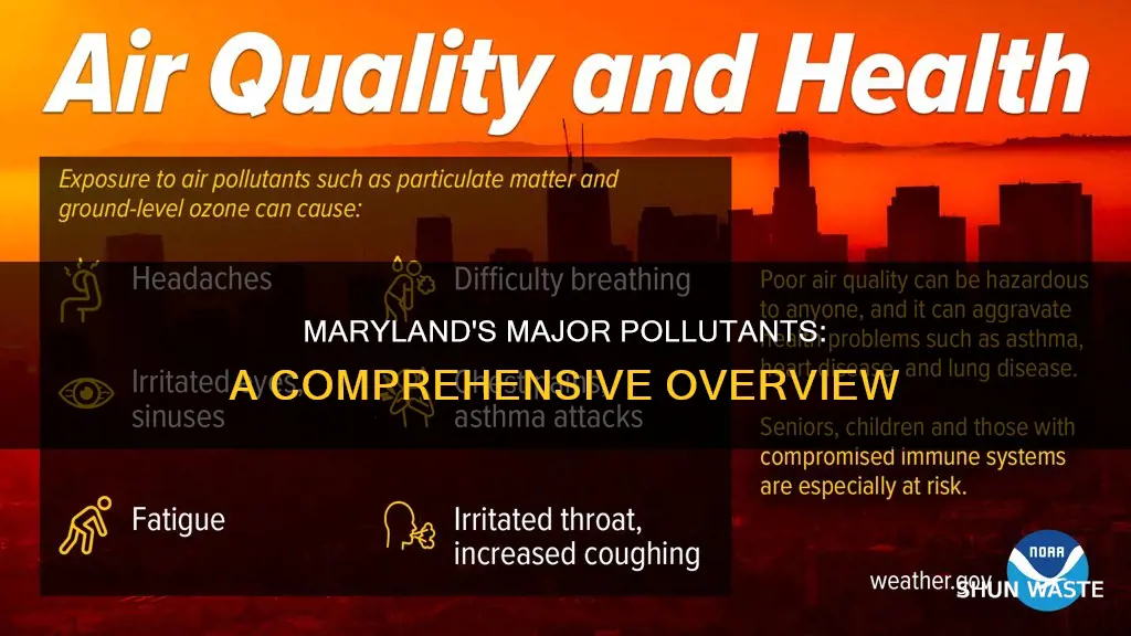 Maryland's Major Pollutants: A Comprehensive Overview | ShunWaste