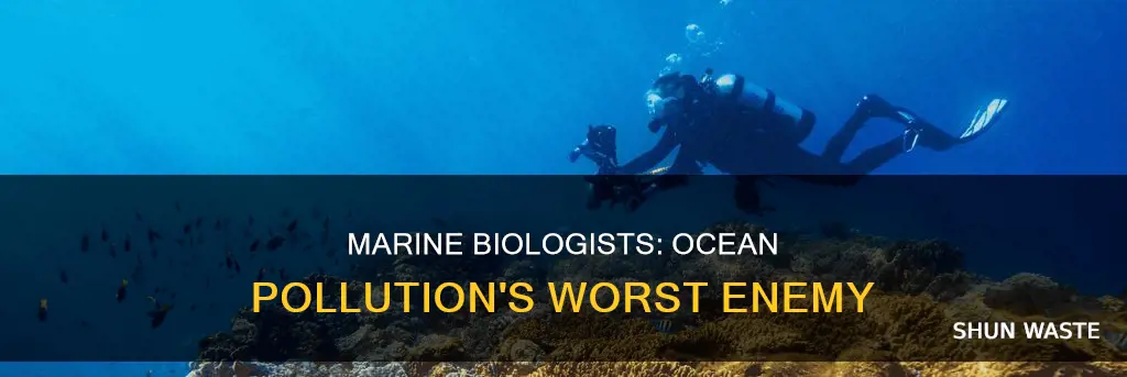 Marine Biologists: Ocean Pollution's Worst Enemy | ShunWaste