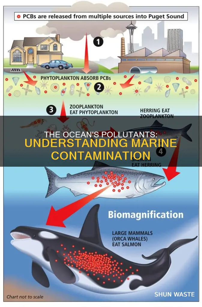 The Ocean's Pollutants: Understanding Marine Contamination | ShunWaste