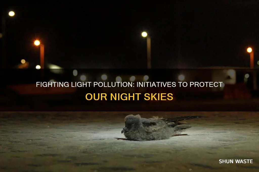 Fighting Light Pollution: Initiatives To Protect Our Night Skies ...
