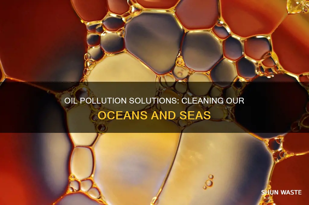Oil Pollution Solutions: Cleaning Our Oceans And Seas | ShunWaste