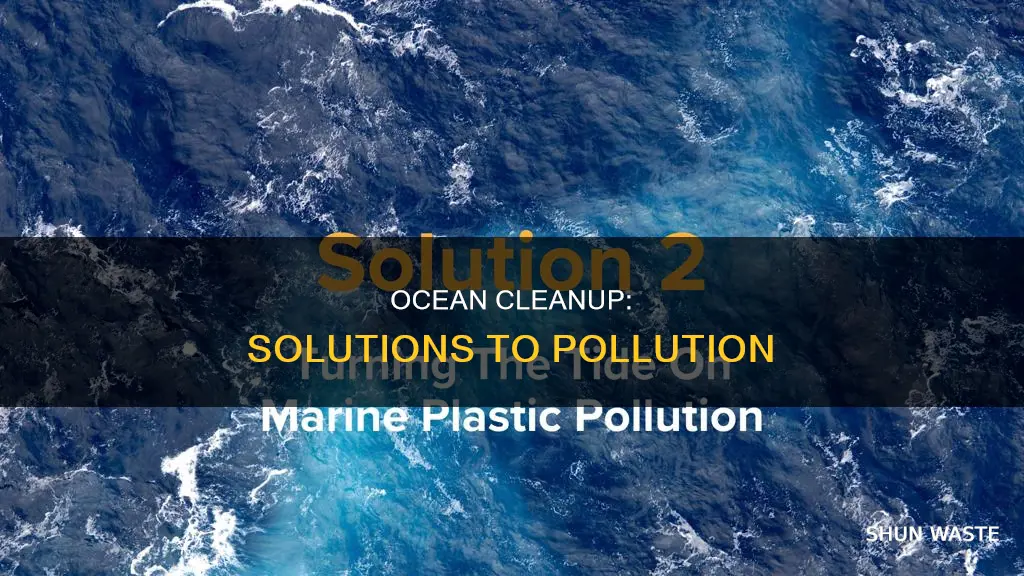 Ocean Cleanup: Solutions To Pollution | ShunWaste