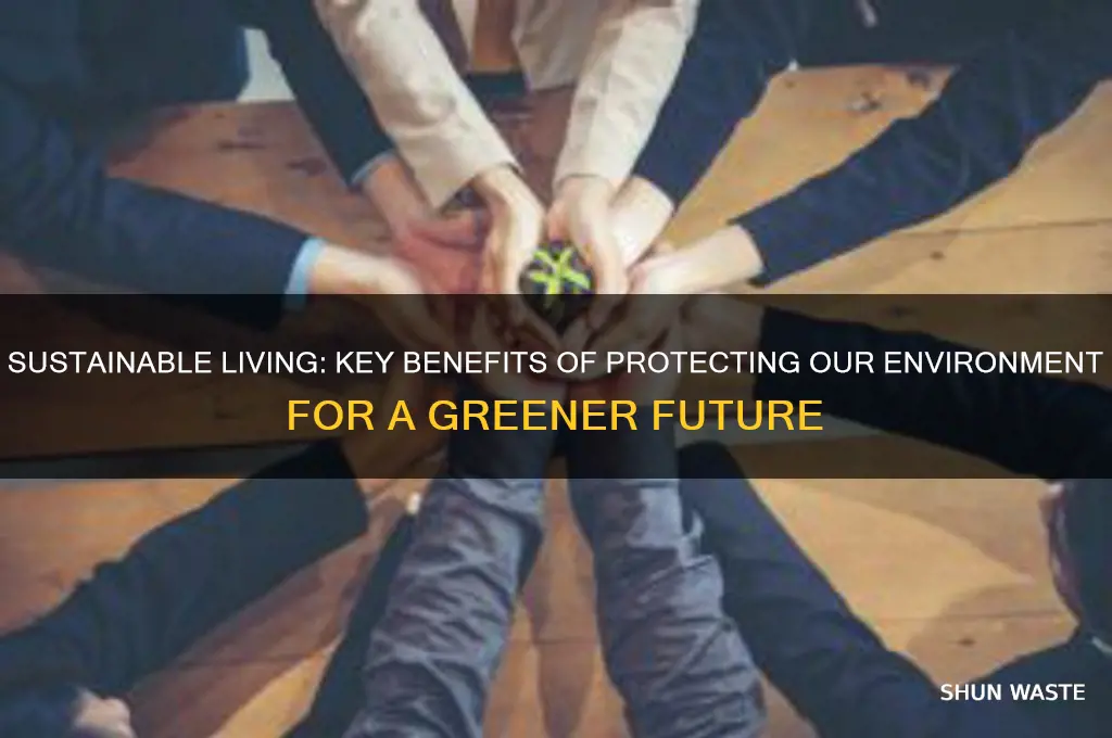 Sustainable Living: Key Benefits Of Protecting Our Environment For A ...