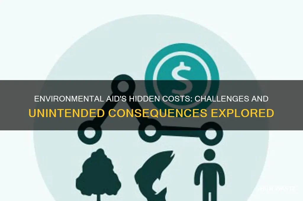 Environmental Aid's Hidden Costs: Challenges And Unintended ...