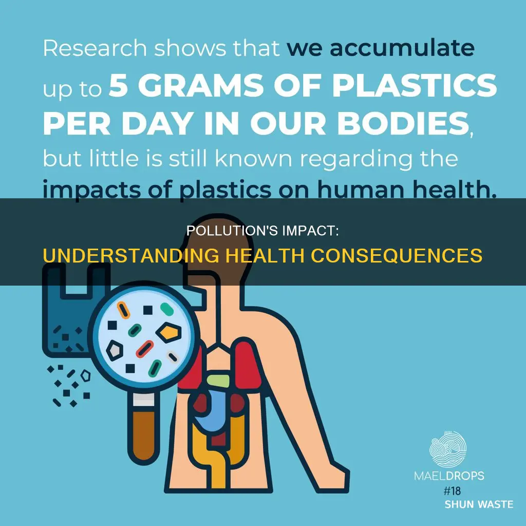 Pollution's Impact: Understanding Health Consequences | ShunWaste